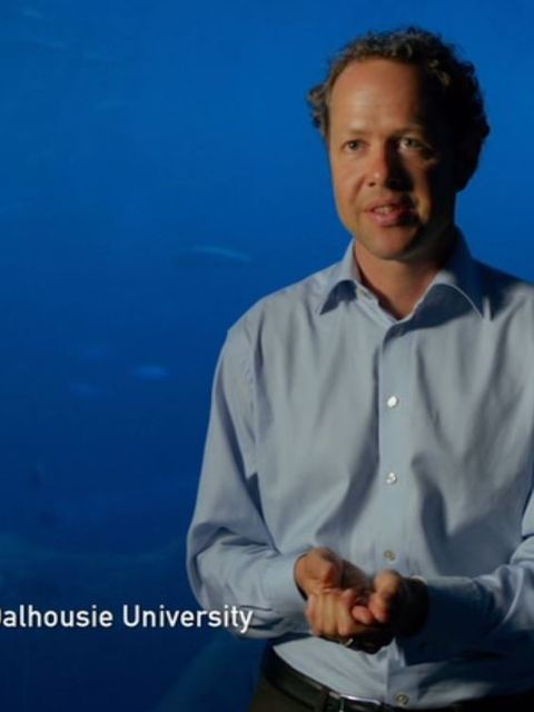 [Boris Worm] Biografia, Altura, Idade, Aniversário e Signo