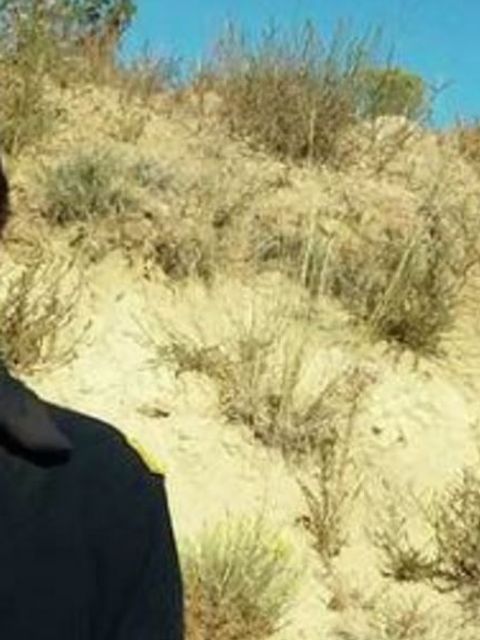 Saiba tudo sobre David Hight em 2025