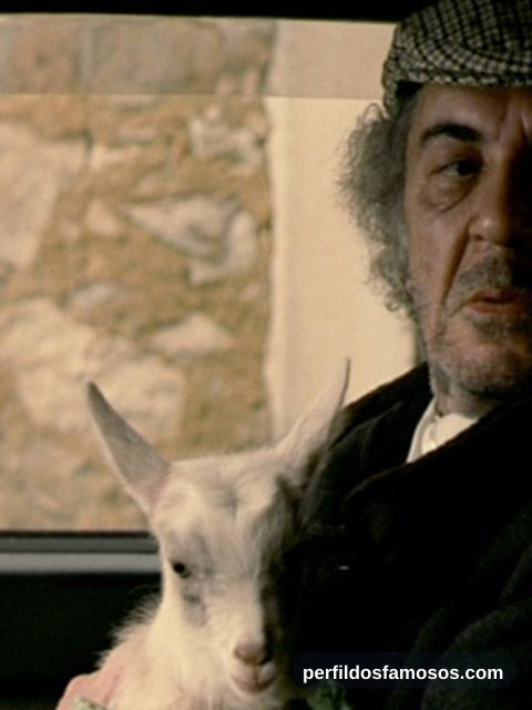 Fernando Taborda: perfil