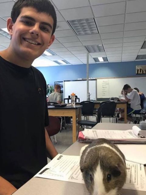 Saiba tudo sobre Matt DiVito em 2025