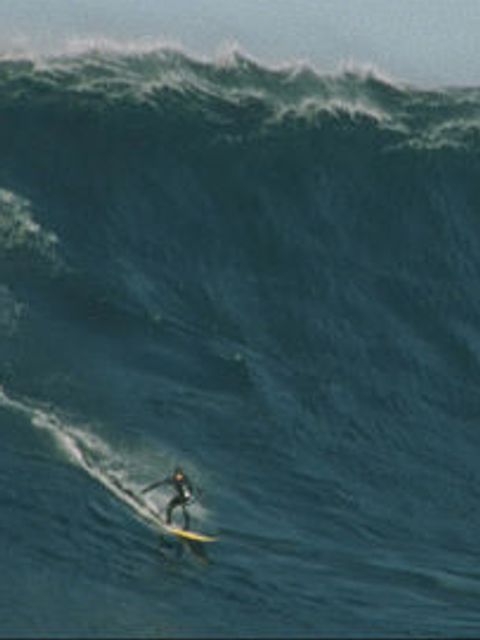 Saiba tudo sobre Mike Parsons em 2025