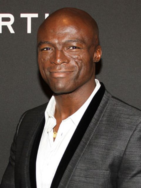 Saiba tudo sobre Seal em 2024